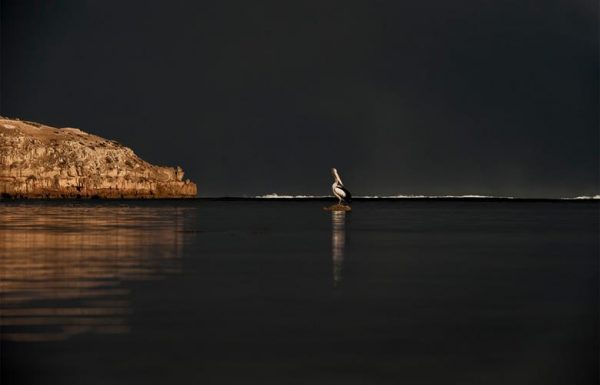 SA Rips - Kyal & Kara : Kyal & Kara