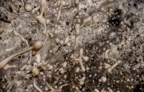 SA Rips - Kyal & Kara : Kyal & Kara